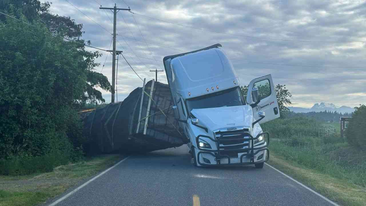 Lastbil lastet med bistader vælter og frigiver 250 millioner bier i USA ...