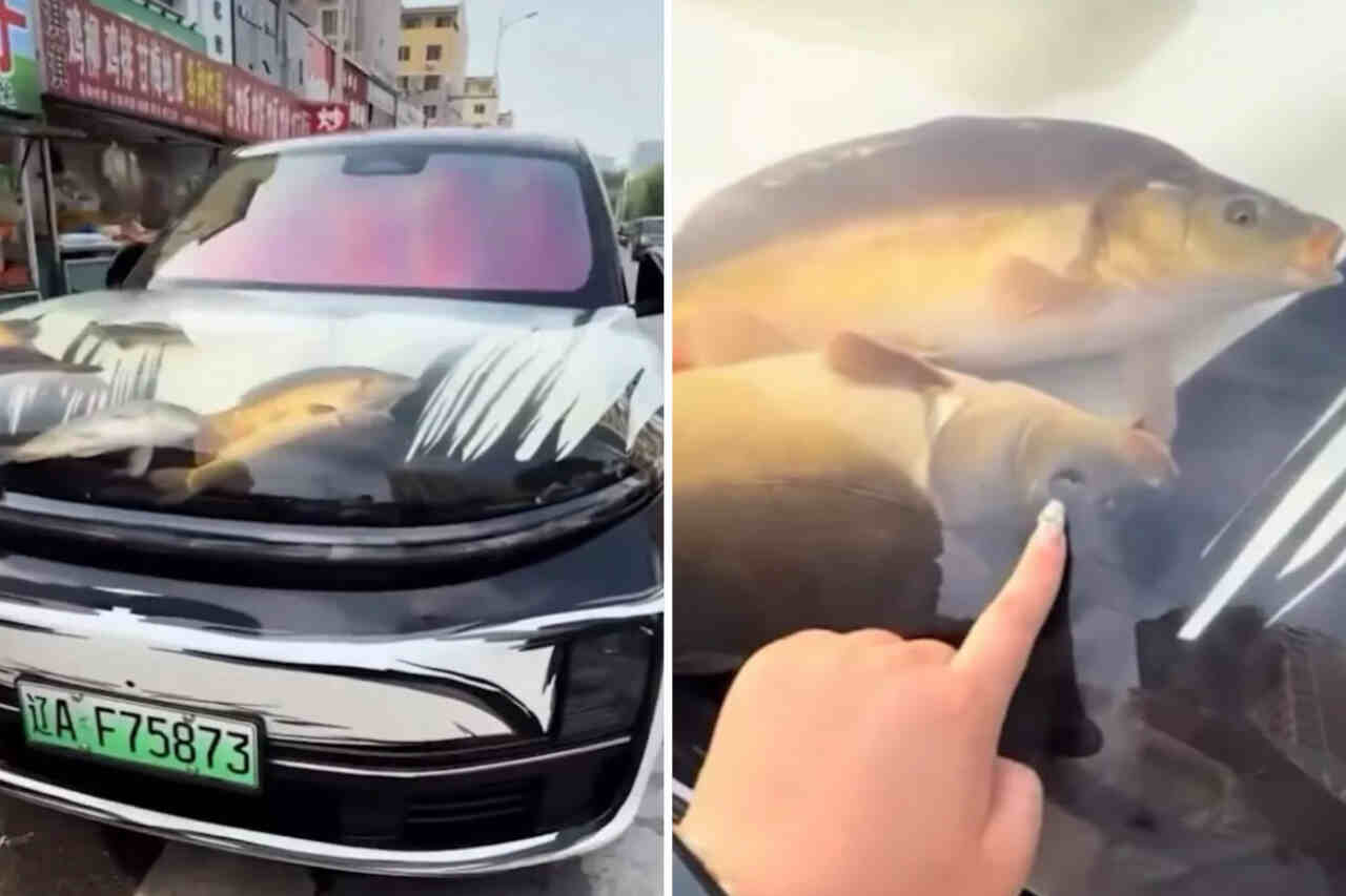 Vídeo: Homem transforma capô do carro em aquário na China - Carro e motos