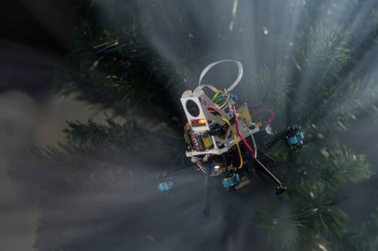 Entenda como drones avançados inspirados em morcegos podem auxiliar ...