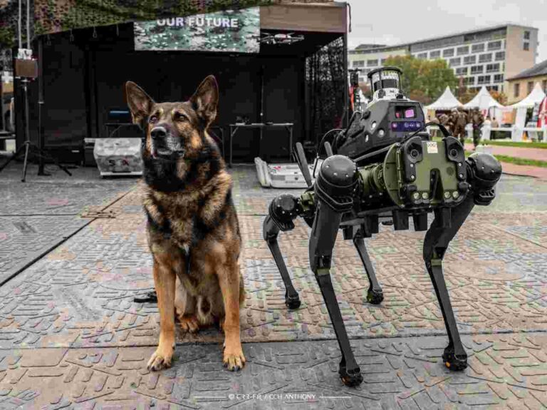 L’armée française commence les tests avec des chiens-robots - Carro e motos