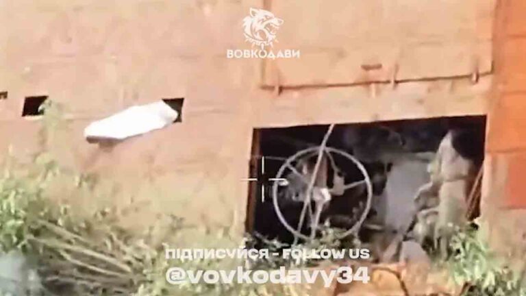 Ukrainische Drohnen zerstören improvisiertes russisches Fahrzeug ...